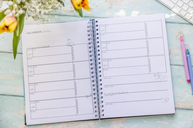 Equine Training Diary - Emily Cole Illustrations